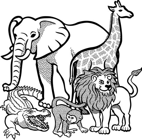 7 Desenhos De Animais Para Imprimir E Pintar