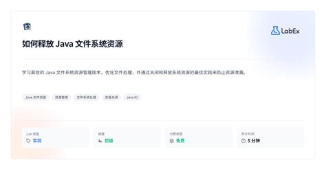 如何释放 Java 文件系统资源 Labex