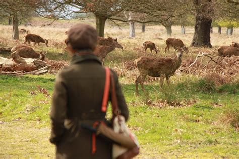 Plain Language Summary Social Media And Deep Learning Reveal Specific Cultural Preferences For