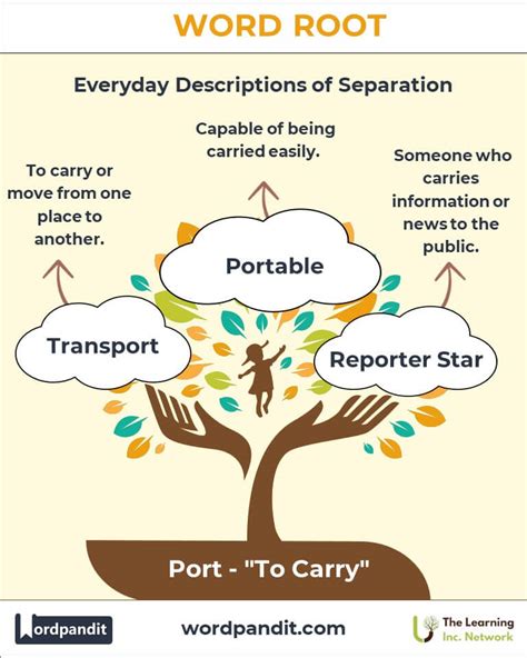Word Root Port Wordpandit