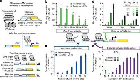 New Paper Comet The Toolkit For Programming Mammalian Gene Expression