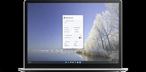 Network Usage Monitor Windows Network Widget
