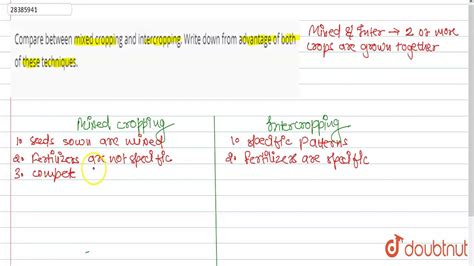 Explain Mixed Cropping And How It Is Different From Intercropping