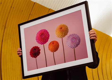 Vibrante Quintillizo De Dalia Pósters Y Art Prints De Assaf Frank