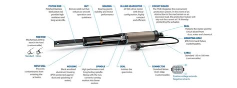 What Are The Differences Between Linear And Rotary Actuators