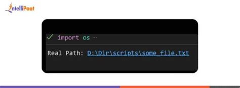 How To Find The Current Directory In Python