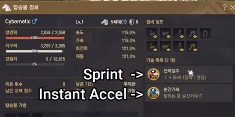 Bdo Black Desert Online Beginner Progression Guide Mmosumo