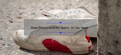 Does Doxycycline Kill Sperm All You Need To Know Sperm Blog