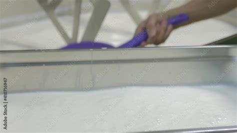 A Cheesemaker Scoops Milk Out Of A Large Tank By Hand Using A Blue Ladle Delicious Cheese