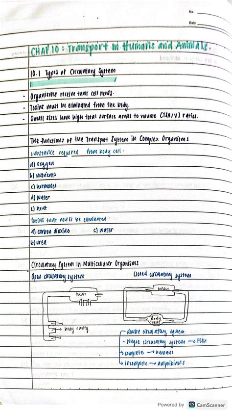 SOLUTION Igcse Biology Transport In Humans And Studypool