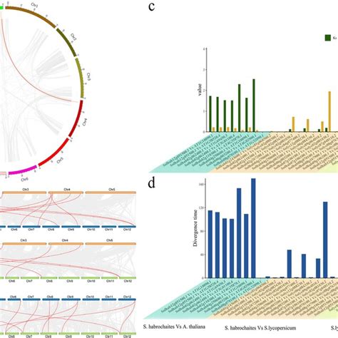 Architecture Of Conserved Protein Motifs And Gene Structure Of Osca
