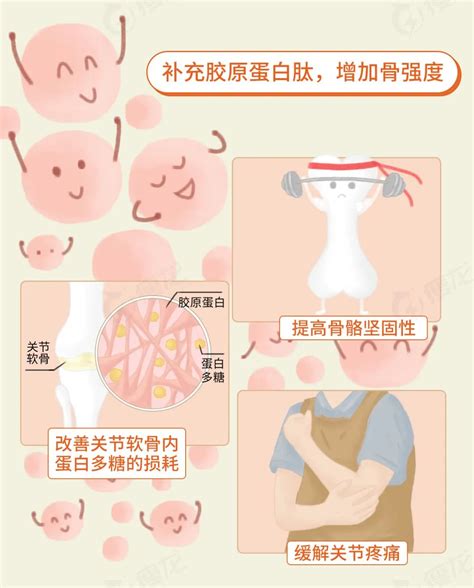 老年人该怎么吃 大健康饮食建议参考下