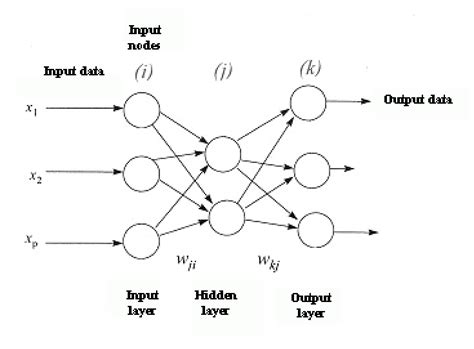 Three Layer Neural Network Download Scientific Diagram