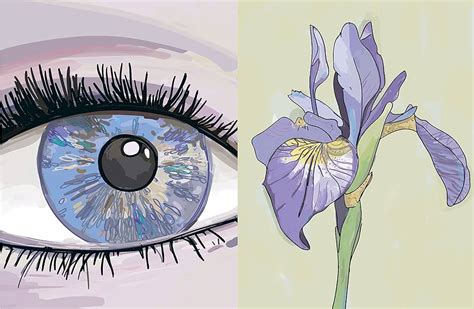 A Iris Do Filme Da Ala Der Spitzname 2024 Film Trailer Kritik