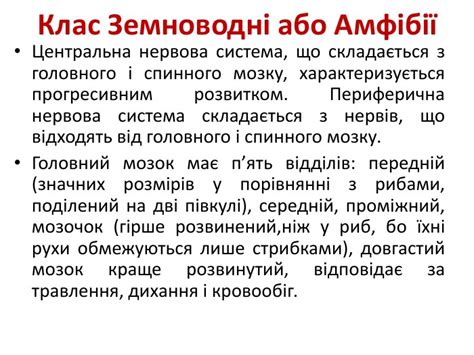 Презентація практична робота № 6 «Порівняння будови головного мозку хребетних тварин