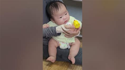 노란 병아리가 갖고 싶은 아기 23 12 Youtube