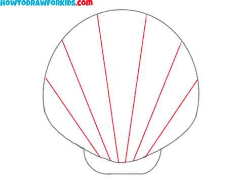 How To Draw A Shell