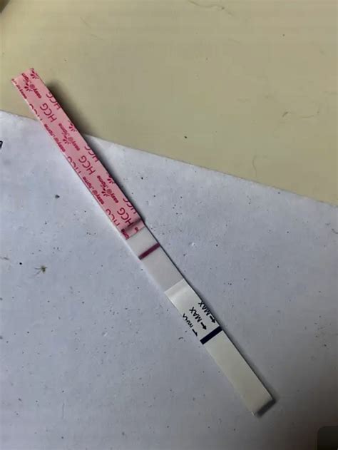 E DD DD BD BD CF D A Hosted At ImgBB ImgBB