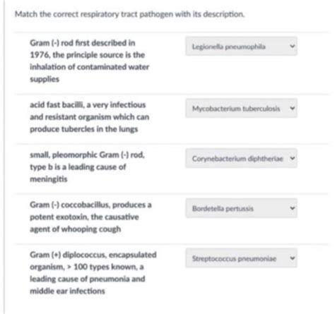 Solved Match the correct respiratory tract pathogen with its | Chegg.com