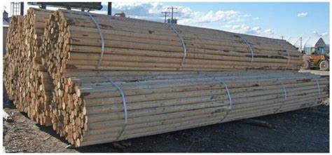 Wooden Poles Amr Group Mizia Einhorn Sp K