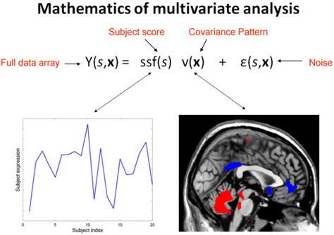 Basics Of Multivariate Analysis In Neuroimaging Data Scientific Article Protocol Jove