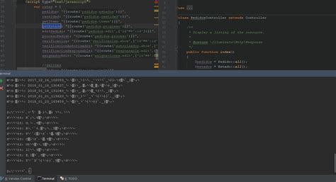 PhpStorm Terminal Strange Characters Stack Overflow
