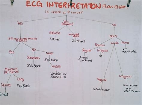 Pin On School Never Ends