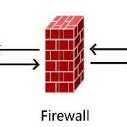 Schematic Diagram Of Dual Homed Host Structure Single Segment Download Scientific