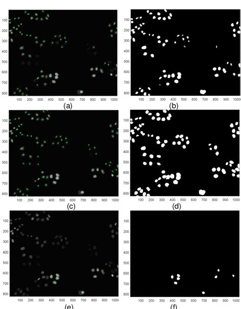 Figure From A New Approach For Cell Detection And Tracking Semantic Scholar