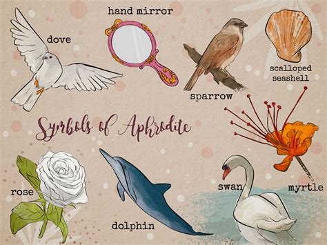 Aphrodite Symbol Decoding The Love Goddess Sacred Items 🐚 All For One