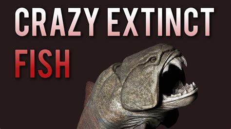 Crazy Extinct Fish Placoderms Youtube