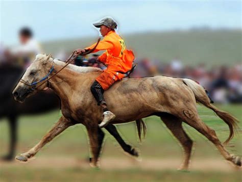 НҮБ Хурдан морь унаач хүүхдүүдийн талаар мэдэгдэл гаргалаа