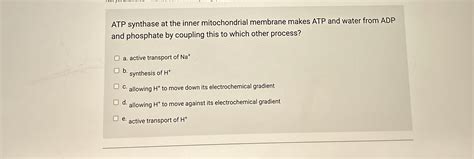 solved atp synthase at the inner mitochondrial membrane
