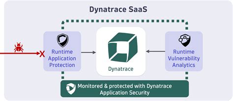 Data Security Controls — Dynatrace Docs Data Security Controls — Dynatrace Docs