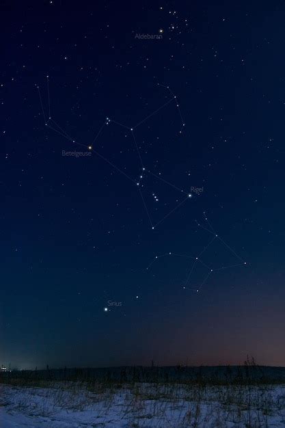 Starry Night Sky Constellation Orion Canis Major Star Sirius Premium