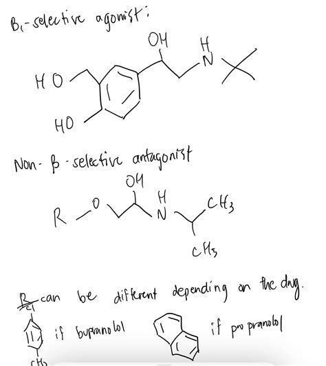 [solved] What Are The Differences Between Structures Of Our Beta 1 Selective Course Hero
