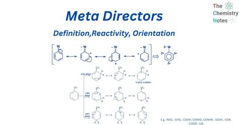 Meta Directors Definition Reactivity Orientation