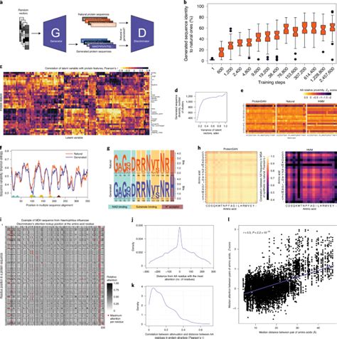 Expanding Functional Protein Sequence Spaces Using Generative Adversarial Networks Bohrium