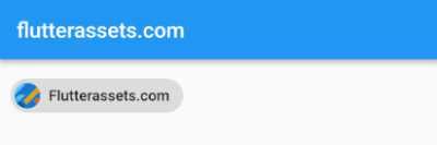 What Is The Flutter RawChip Widget And How To Use It