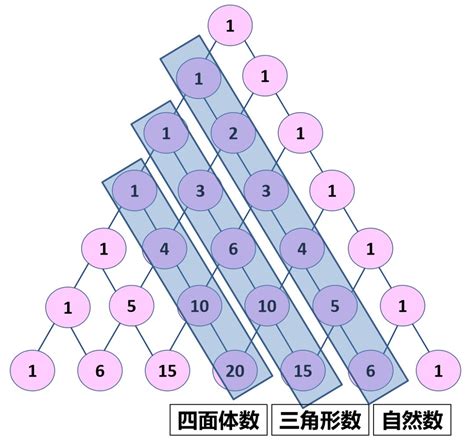 求杨辉三角的前n行数据 挖掘习题内涵 渗透数学文化 ——“杨辉三角”的教学实践 csdn博客