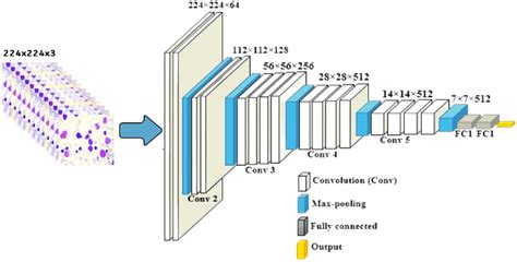 The Architecture Of Vgg19 Download Scientific Diagram