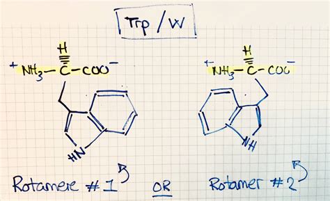 Biochemistry Tryptophan Side Chain Structure How Should It Be Orientated Biology Stack