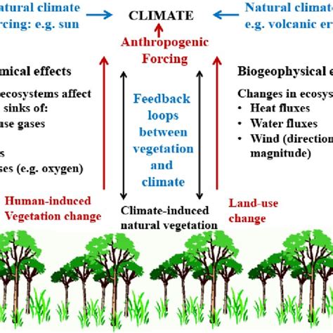 Pollen Representation Of Vegetation Major Factors Affecting Pollen