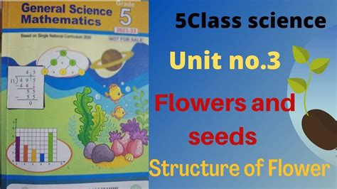 Class5 Science Ptb Unit 3 Flowers And Seeds Topic Structure Of