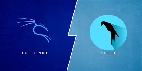 Kali Gpt Breaks Into Kali Linux The Ai Revolution In Pentesting