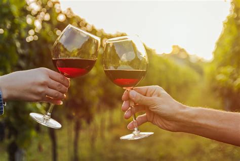 רוצים ללמוד על תהליך ייצור היין סעו עוד היום ליקב בשומרון תרבותי