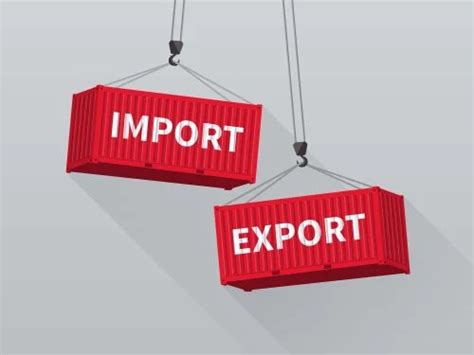Export Import Code Number Services In Chennai Id 15296229697