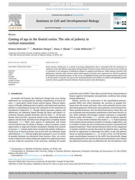 PDF Coming Of Age In The Frontal Cortex The Role Of Puberty In Cortical Maturation