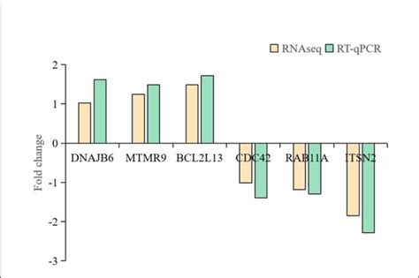 figure e rt qpcr analysis of mrna expression download scientific diagram