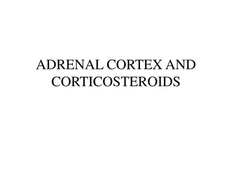 Ppt Adrenal Cortex And Corticosteroids Powerpoint Presentation Free Download Id6747053